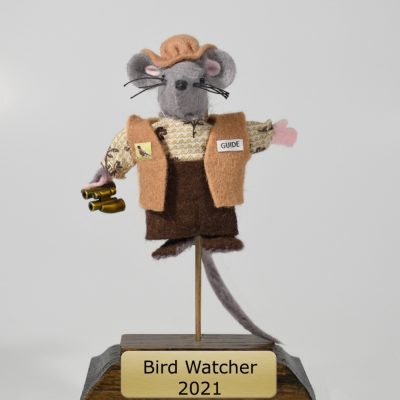 Cathedral Mice – cathedralmice.com